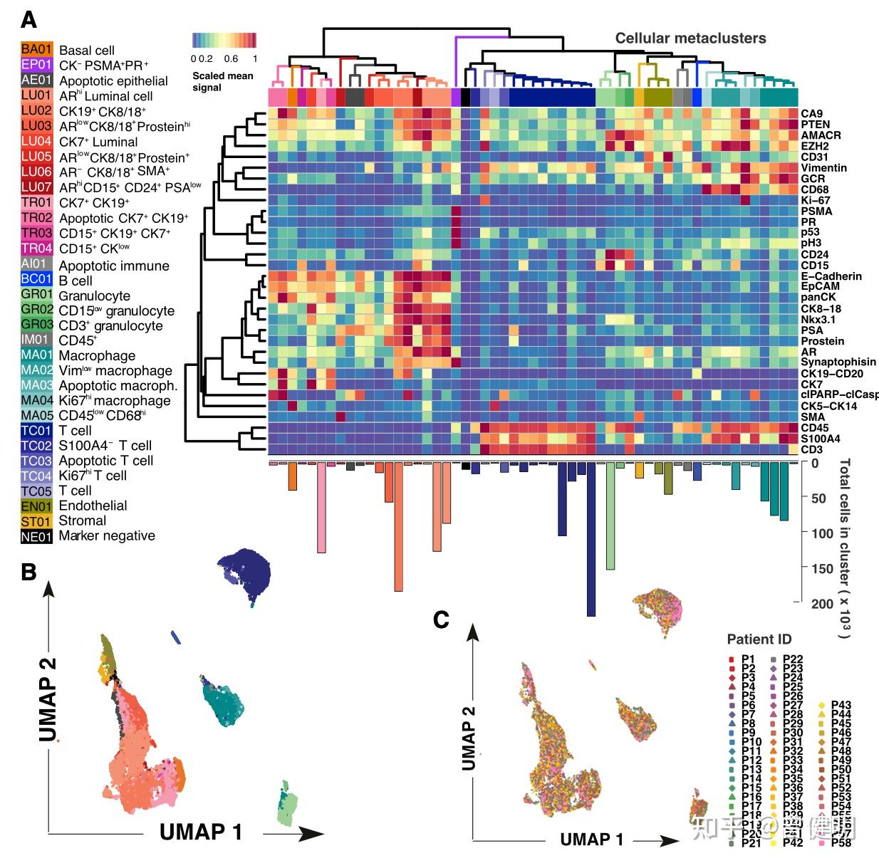 cytof能被称为单细胞蛋白质组学吗？ - 知乎