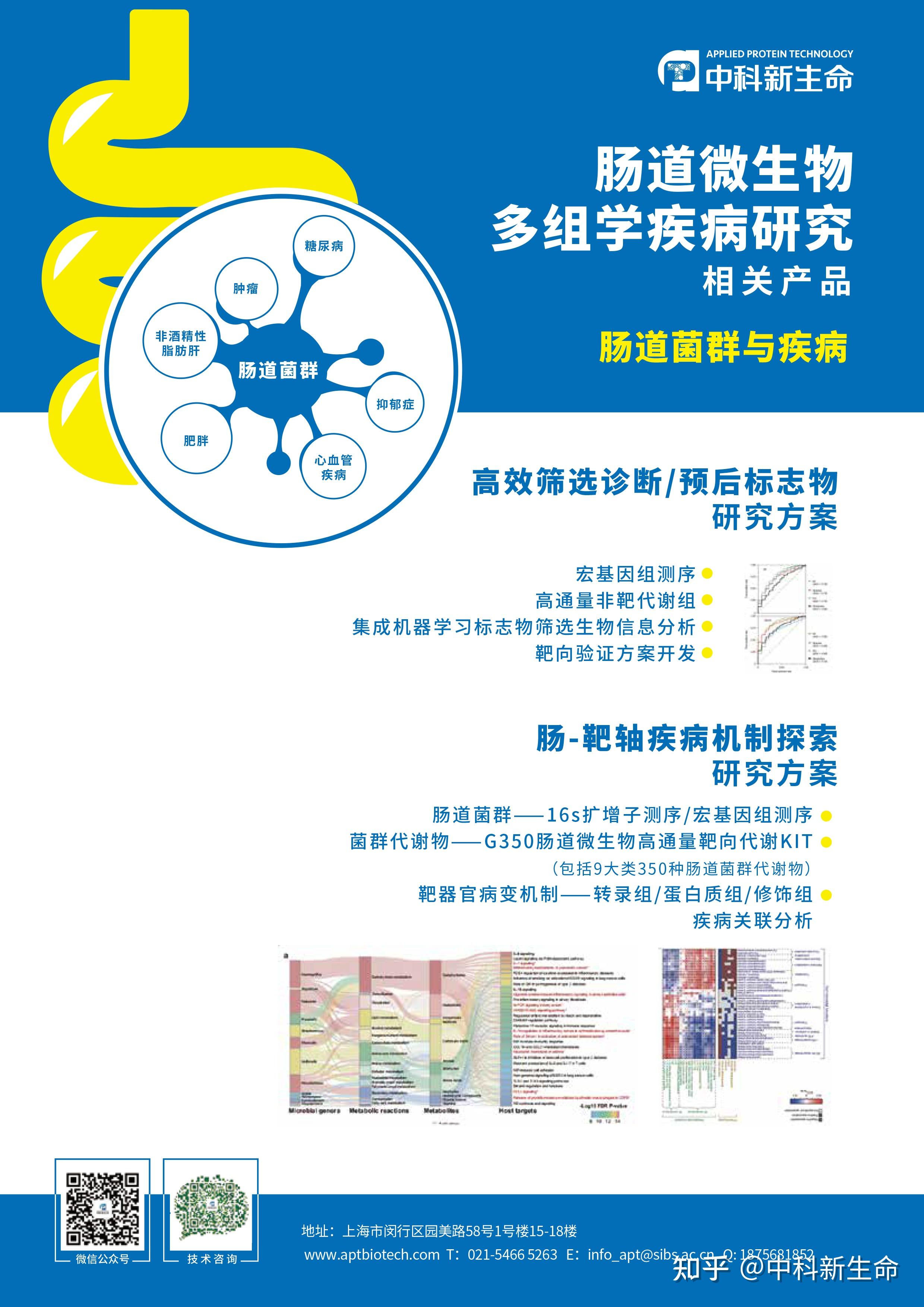 Int J Mol Sci｜多组学揭示MCT2限制肺癌小鼠模型中的肿瘤生长 - 知乎