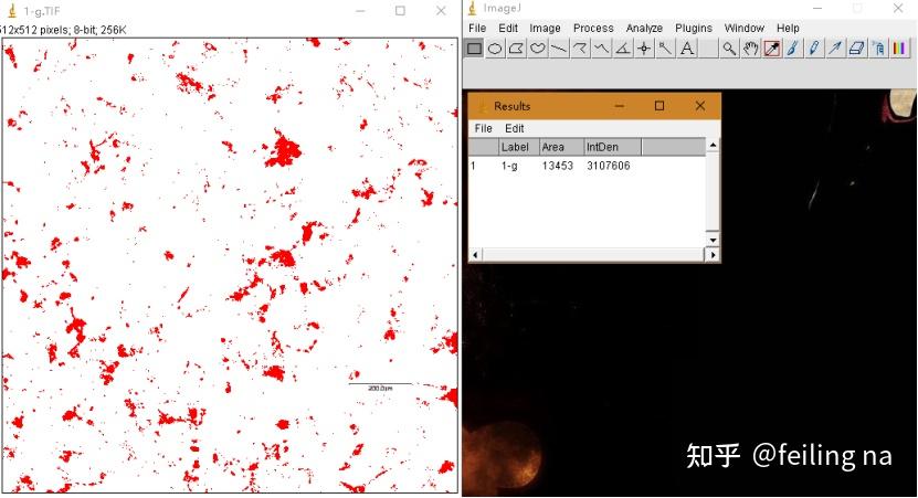 荧光强度统计方法（imageJ软件分析） - 知乎