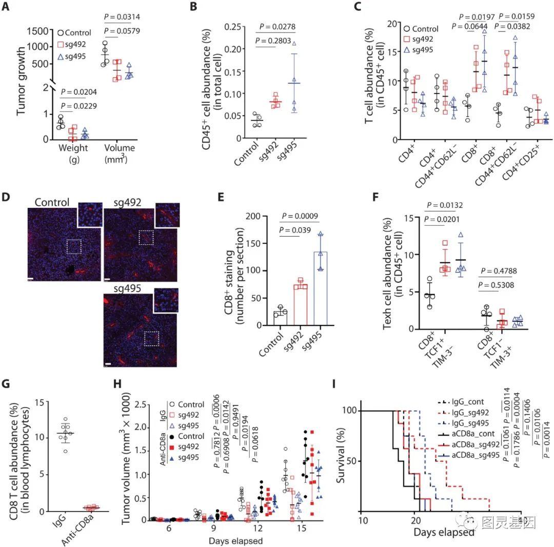 Sci Adv | 黑色素瘤固有NR2F6活性调节抗肿瘤免疫 - 知乎