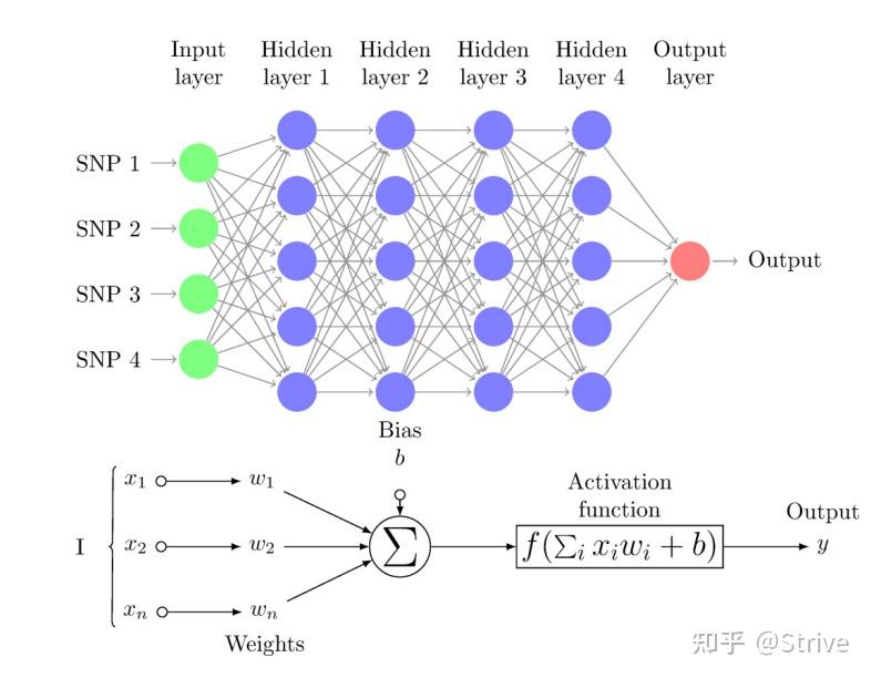 MLP - 多层感知机 - 知乎
