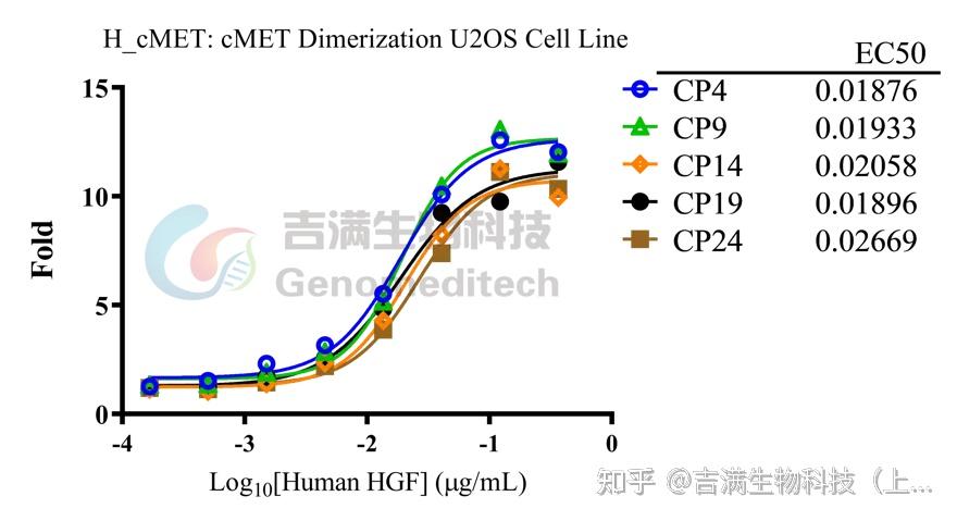 c-MET靶点再掀巨浪，ADC破局而来？ - 知乎