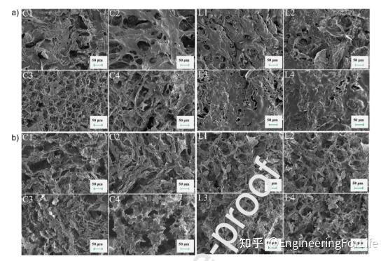 《Carbohydr. Polym.》：药代动力学模型！CMC/PVA水凝胶模拟肠液靶向释放大豆肽 - 知乎