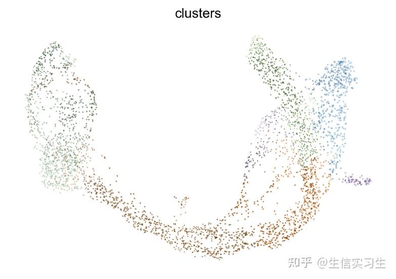 单细胞scVelo动态模型基础教程 - 知乎