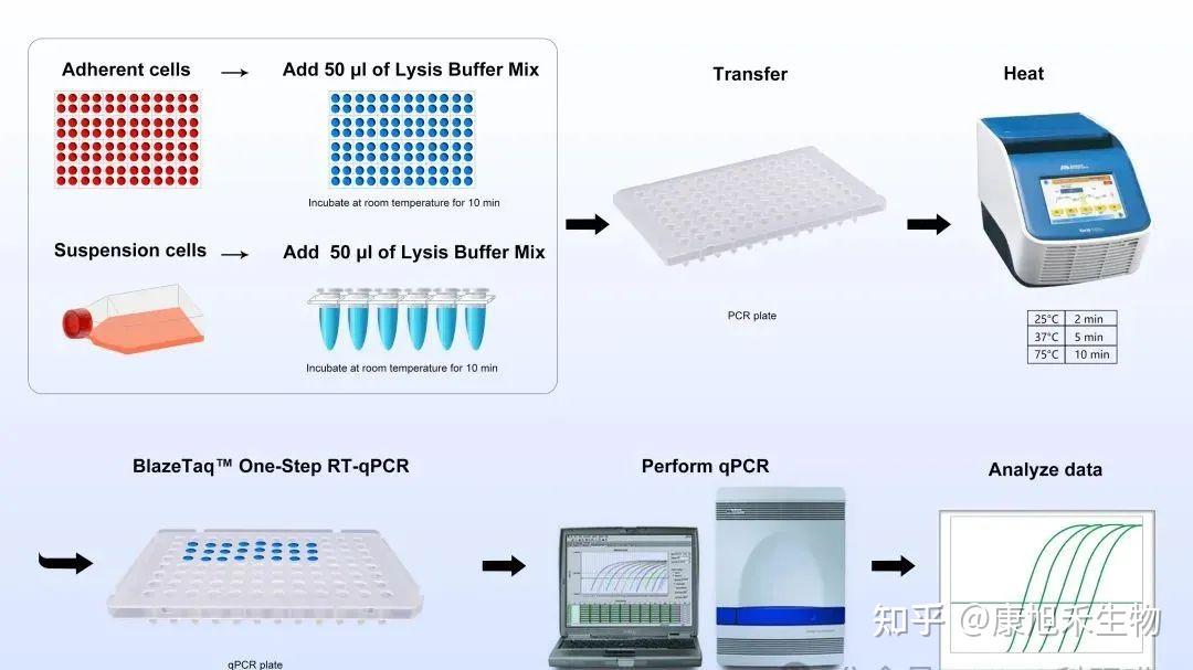 实验干货 | qPCR实验中经常忽略的实验细节！ - 知乎