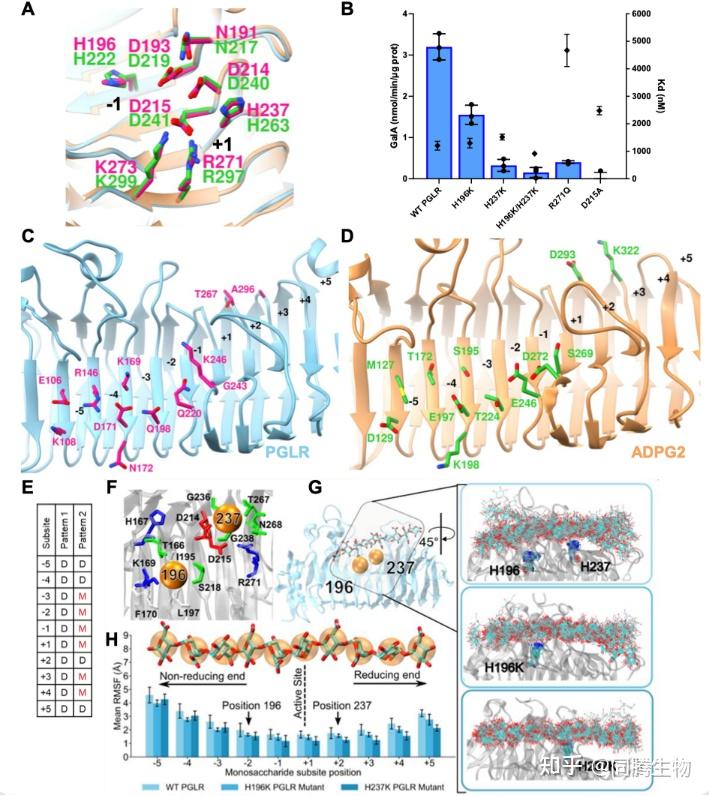 Helix+多模式分子互作仪在酶结构与酶和底物结合动力学研究中的应用 - 知乎