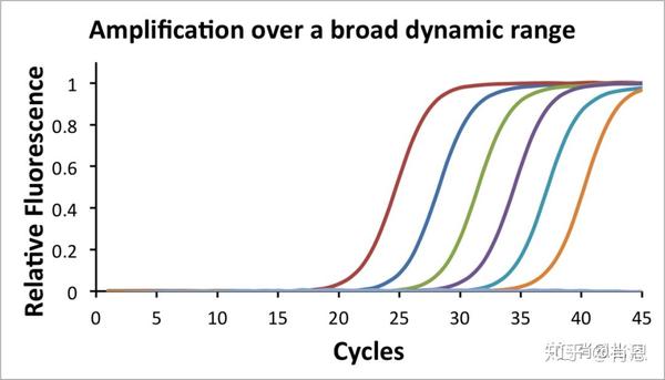 qPCR数据处理， 一键出图 - 知乎