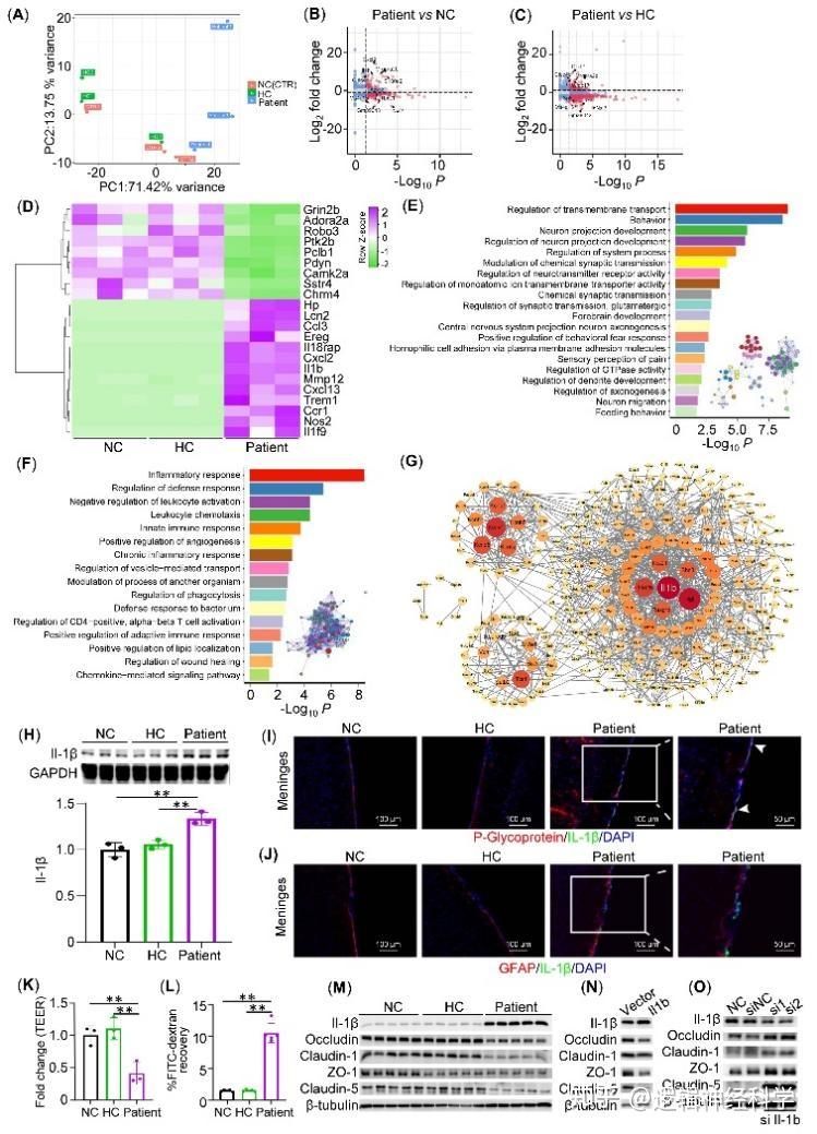 JNI︱邱伟/王杰/刘晓东团队合作首次构建人源化抗NMDAR脑炎模型并揭示发病机制及治疗靶点 - 知乎
