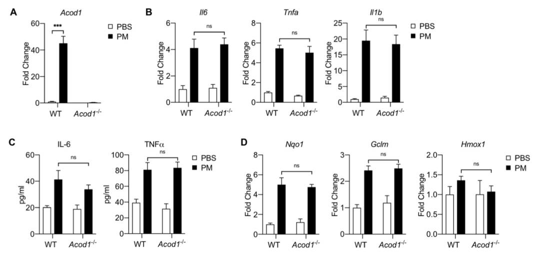 eLife丨内源性衣康酸不发挥抗炎抗氧化应急作用，外源性衣康酸发挥的抗炎作用不依赖Nrf2 - 知乎