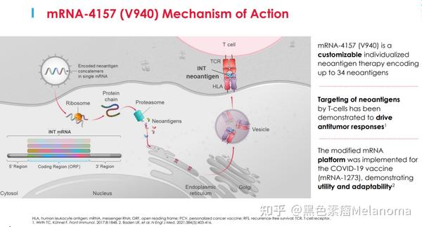 【2023AACR】mRNA肿瘤疫苗在黑色素瘤取得里程碑进展 - 知乎