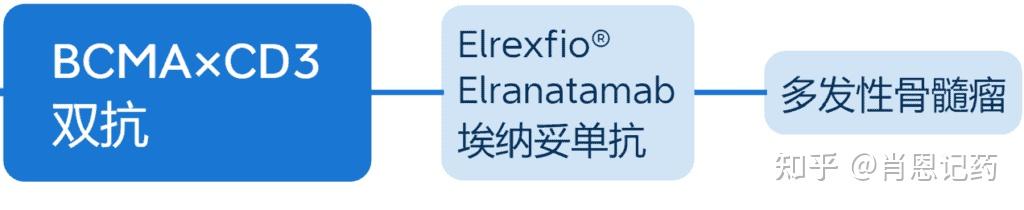 记住所有FDA生物药 | BCMA×CD3双抗 | Elrexfio® Elranatamab | 多发性骨髓瘤 - 知乎