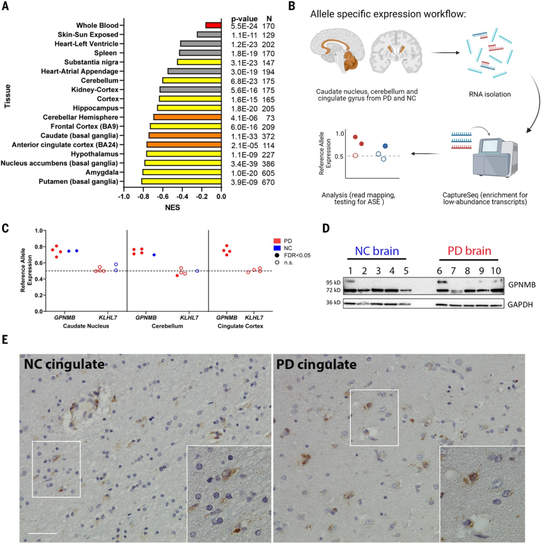Science：帕金森病的风险基因——GPNMB - 知乎