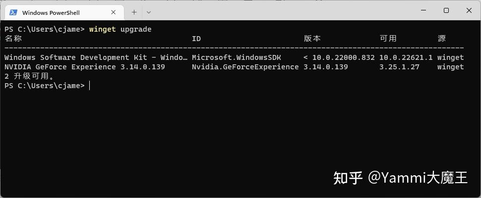 如何使用winget彻底替代各种管家的软件管理工具 - 知乎
