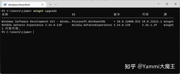 如何使用winget彻底替代各种管家的软件管理工具 - 知乎