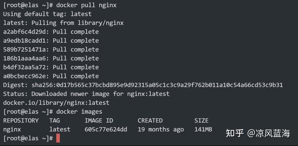 docker环境下部署nginx - 知乎