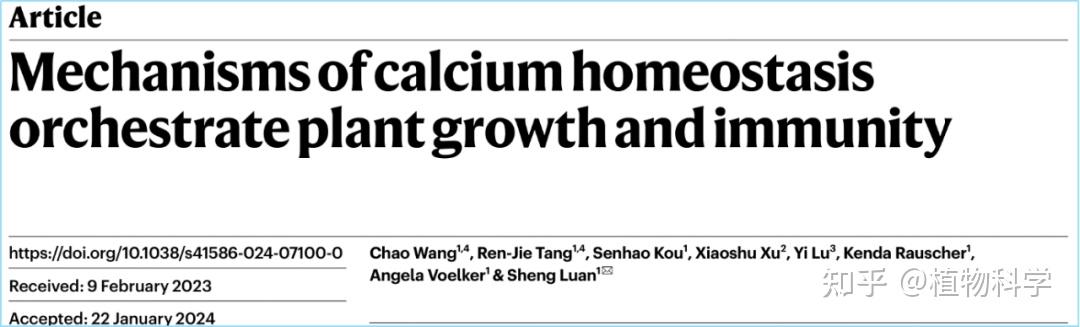 Nature | 加州大学伯克利分校栾升团队发现胞质钙稳态协调植物生长和免疫平衡 - 知乎
