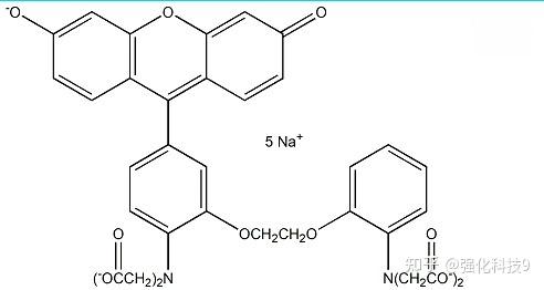 Fluo-8 Sodium Salt, Cell lmpermeant 钙离子荧光探针的荧光度较强 - 知乎