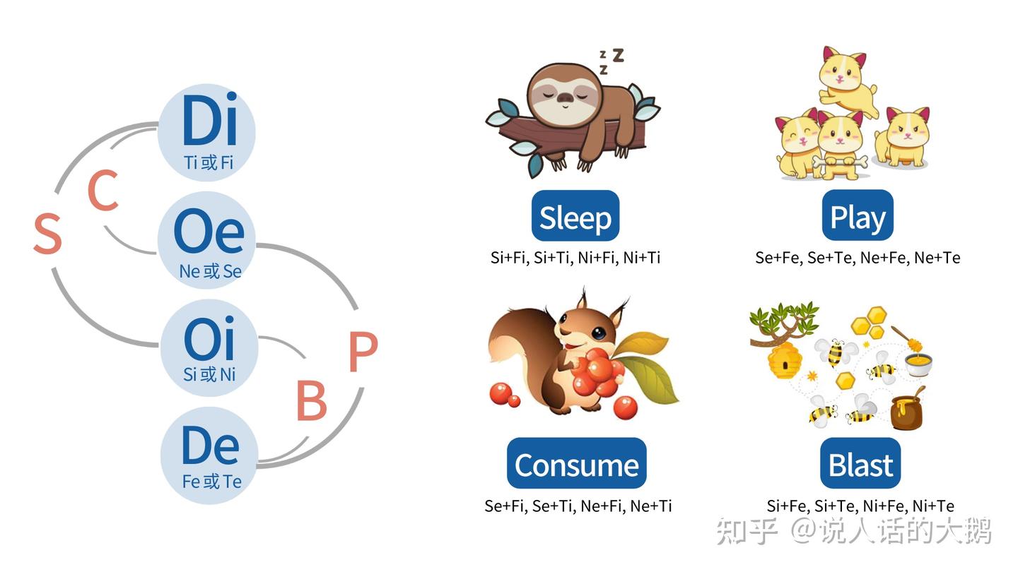 功能的组合使用（一）双内倾Sleep vs 双外倾Play（OPS体系） - 知乎