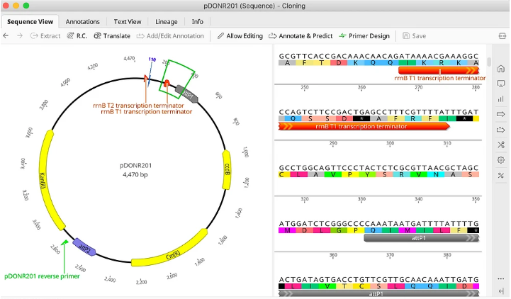 科研工具推荐 | Geneious Prime 功能介绍 - 知乎