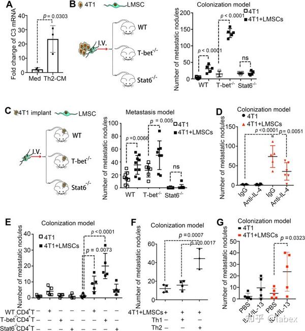 癌细胞转移--也是一种长期的排兵布阵 - 知乎