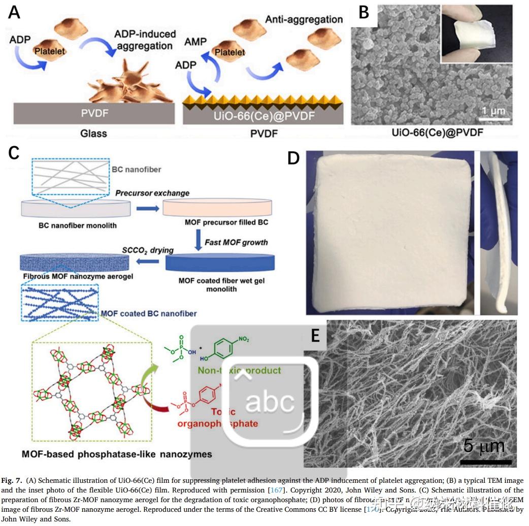 【Adv.Colloid Interface Sci.】水解纳米酶：制备、性质和应用 - 知乎