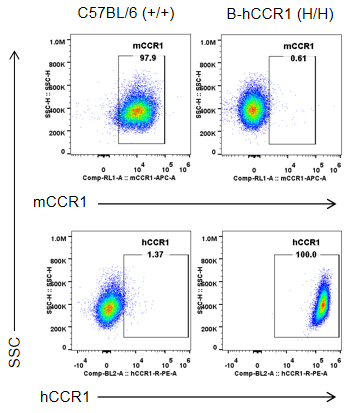靶向免疫治疗“黄金搭档”——趋化因子CCR家族 - 知乎