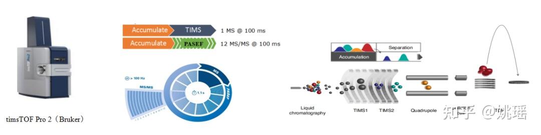 一文简述4D-DIA蛋白质组学 - 知乎