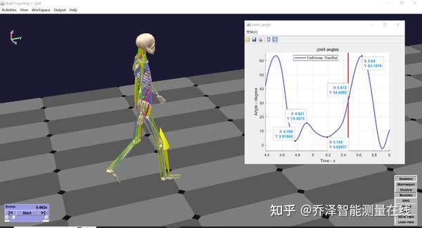 BOB教学版：与您一起发现使用人体运动生物力学模型学习的美妙！（探索步态运动） - 知乎