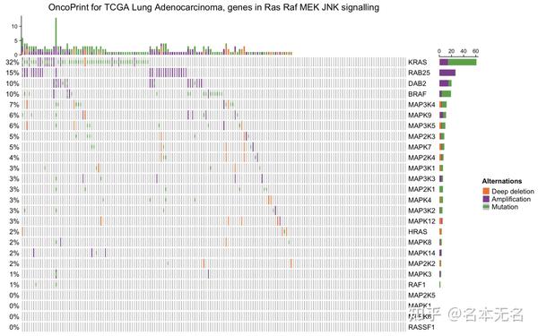 R 数据可视化 —— 聚类热图 ComplexHeatmap(五)oncoprint - 知乎
