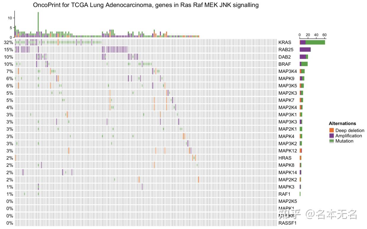 R 数据可视化 —— 聚类热图 ComplexHeatmap(五)oncoprint - 知乎