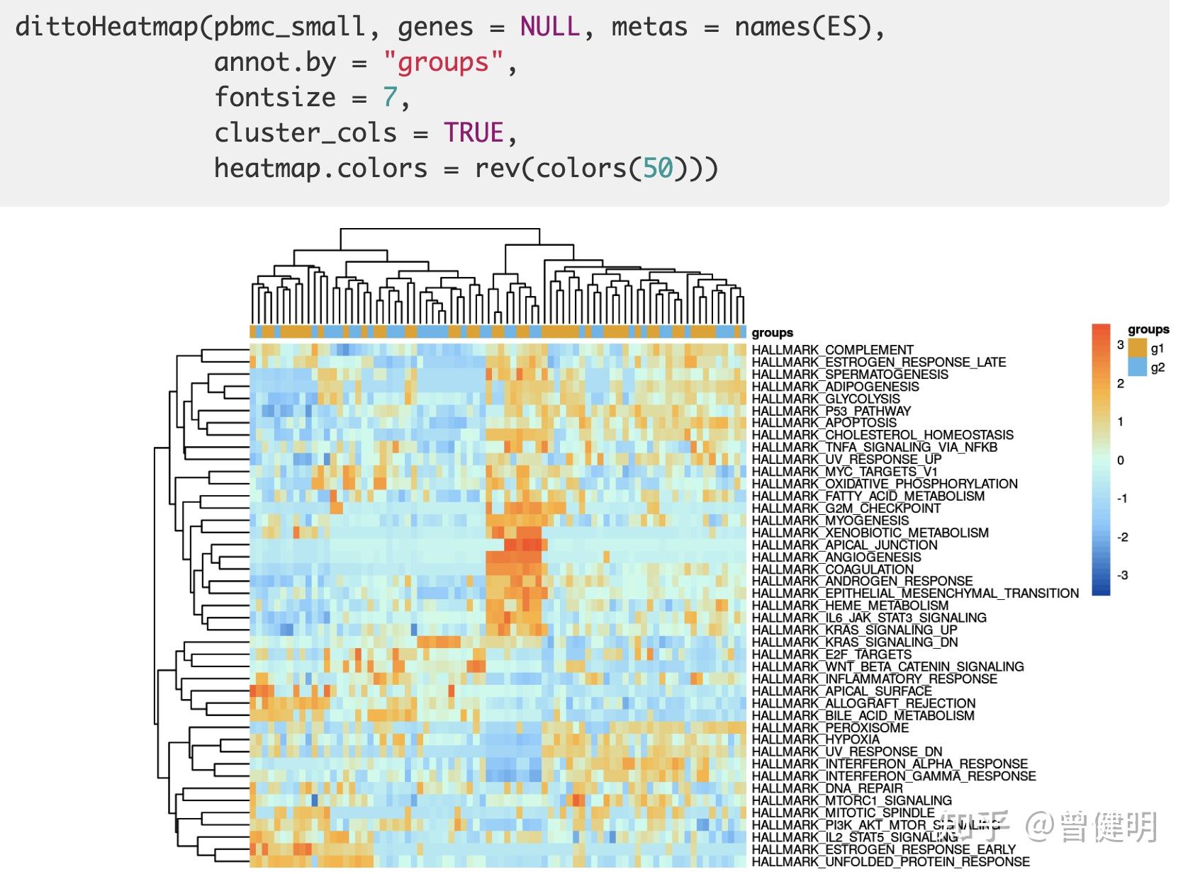 借鉴escape包的一些可视化GSVA或者ssGSEA结果矩阵的方法 - 知乎