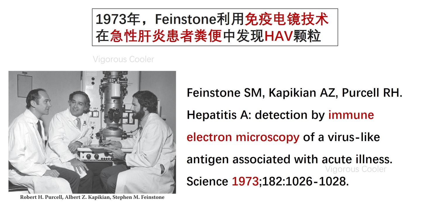 HCV的发现，病毒学的又一次诺奖 - 知乎