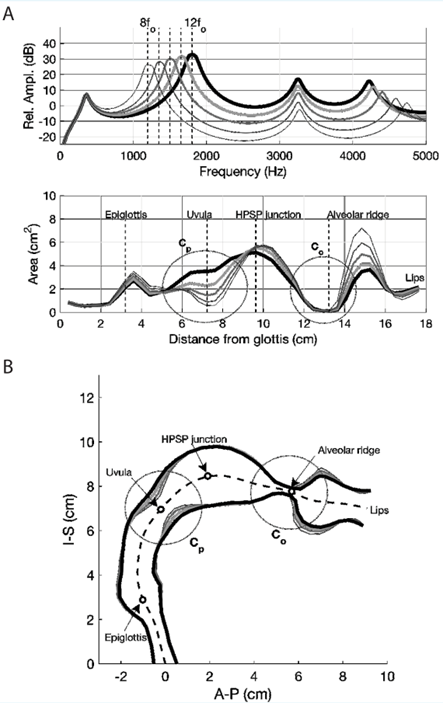 呼麦的语音学特征（及VoQS正字法） - 知乎