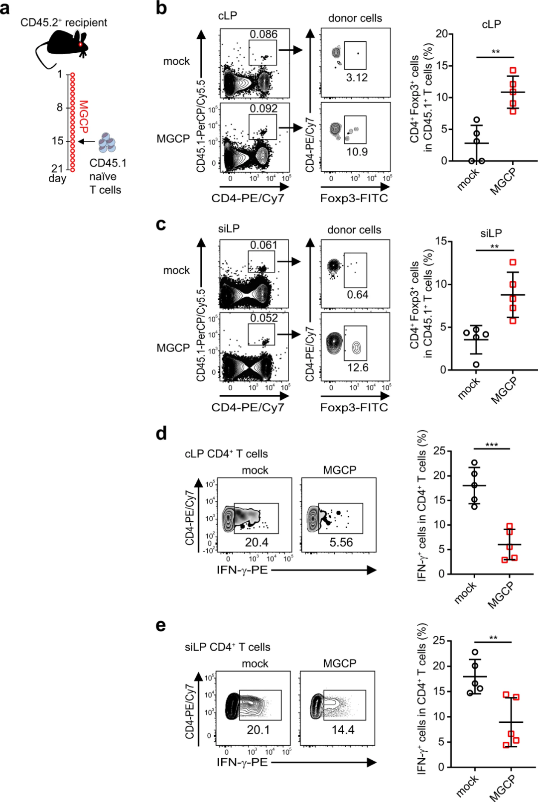 文献解读|细胞表面β-葡聚糖多糖的结构特异性决定了共生酵母介导的免疫调节活性 - 知乎