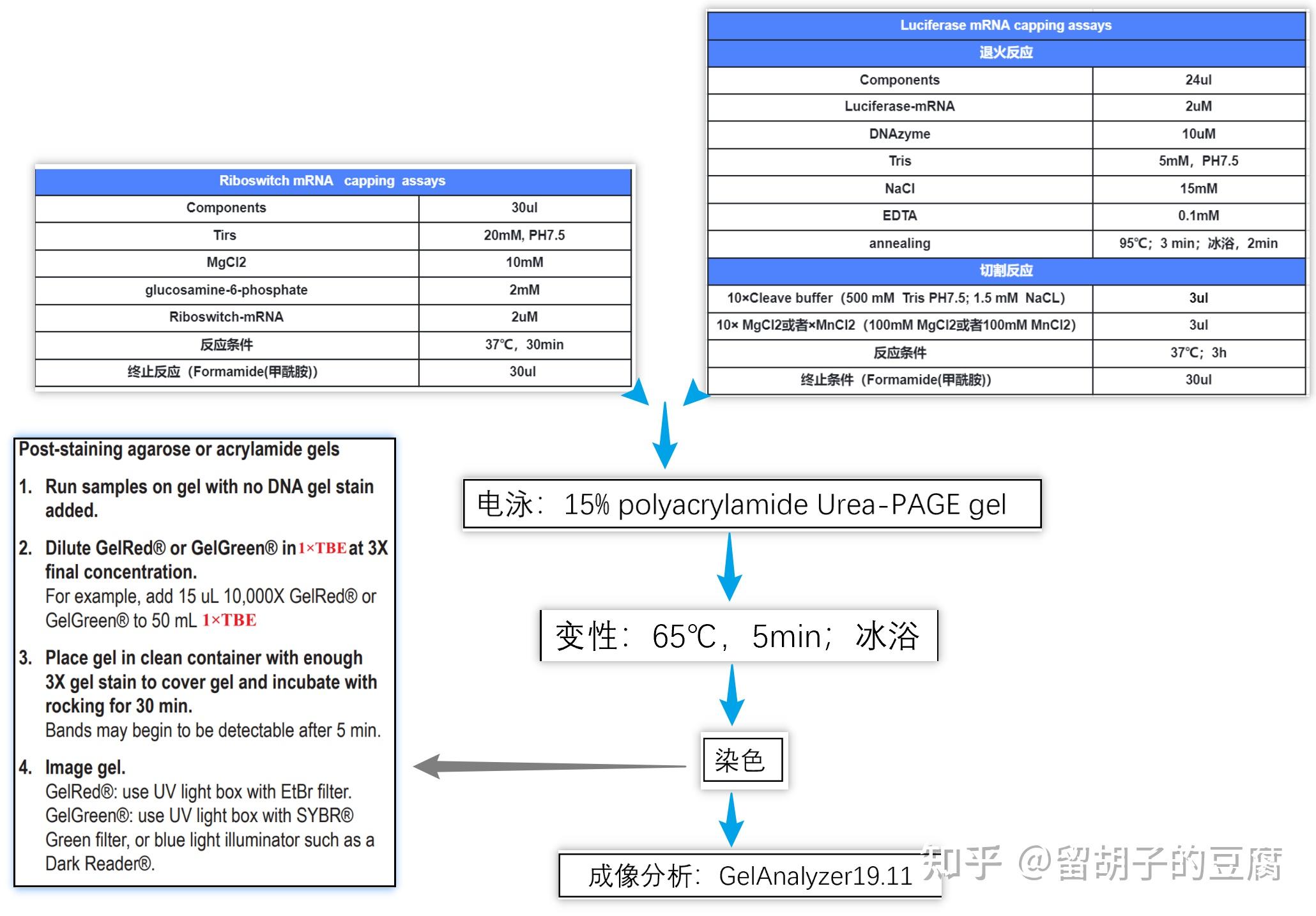 Codexis开发以低浓度帽子类似物实现极高加帽率的T7聚合酶，同时还可抑制dsRNA形成。 - 知乎