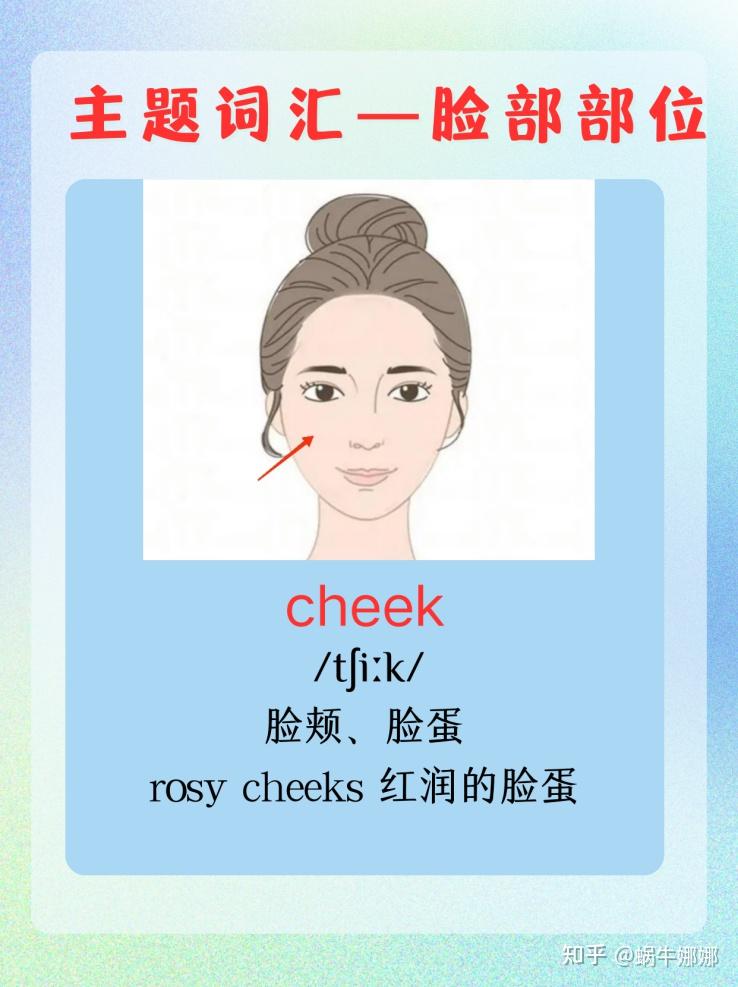 一张图搞定脸部英语单词 - 知乎