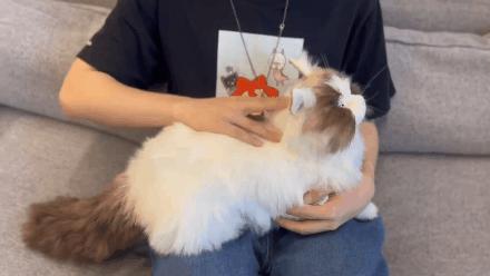 大象机器人：超萌metaCat米塔猫，硬科技也可以柔软治愈 - 知乎