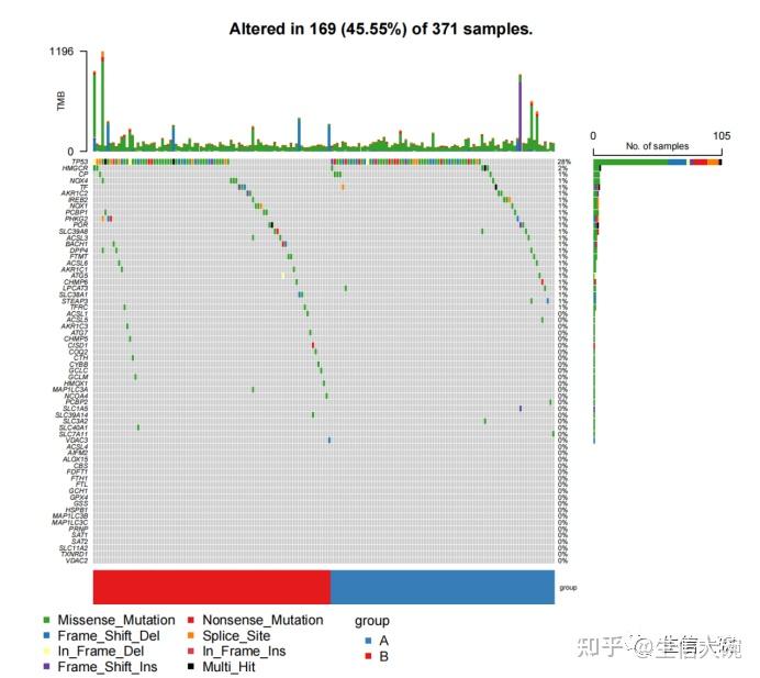 从GSEA下载目标基因集并使用maftools包绘制瀑布图 - 知乎