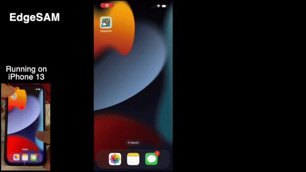 EdgeSAM革新：iPhone上的实时SAM，速度提升40倍！ - 知乎