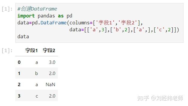 Python pandas Series value counts 