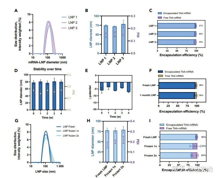 mRNA-LNP疫苗制备流程与免疫评价实验方案分享 - 知乎