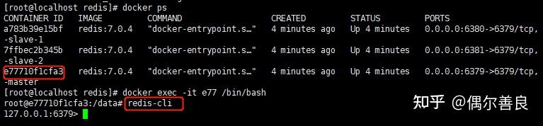 Docker Compose搭建redis7 0 4高可用一主二从三哨兵集群并整合springboot 知乎