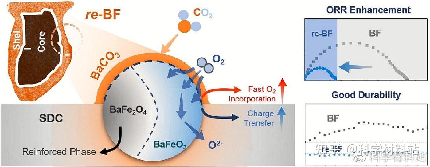 通过CO2诱导的结构重塑机制对固体氧化物燃料电池（SOFC）阴极ORR性能提升的研究 - 知乎