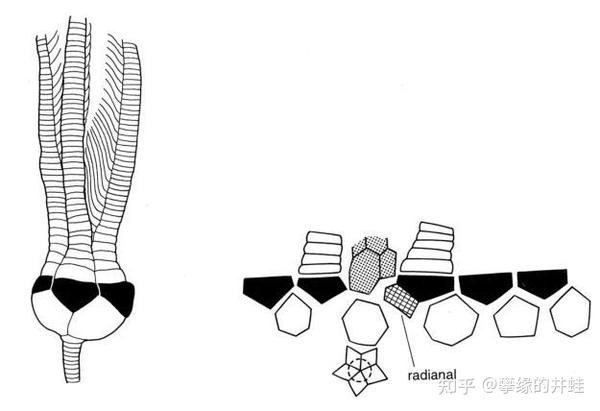 【地球演义】第二百七十四回 异界来客7：Alura Une - 知乎