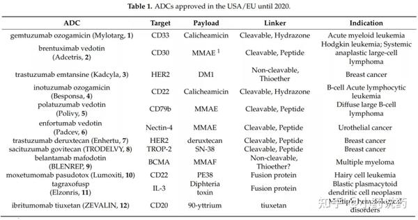 收藏！ADC全景概况（payload，linker，conjugate和Endocytosis） - 知乎