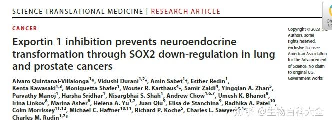 文献解读 | 在肺癌和前列腺癌中，通过下调SOX2抑制Exportin 1从而抑制神经内分泌转化 - 知乎
