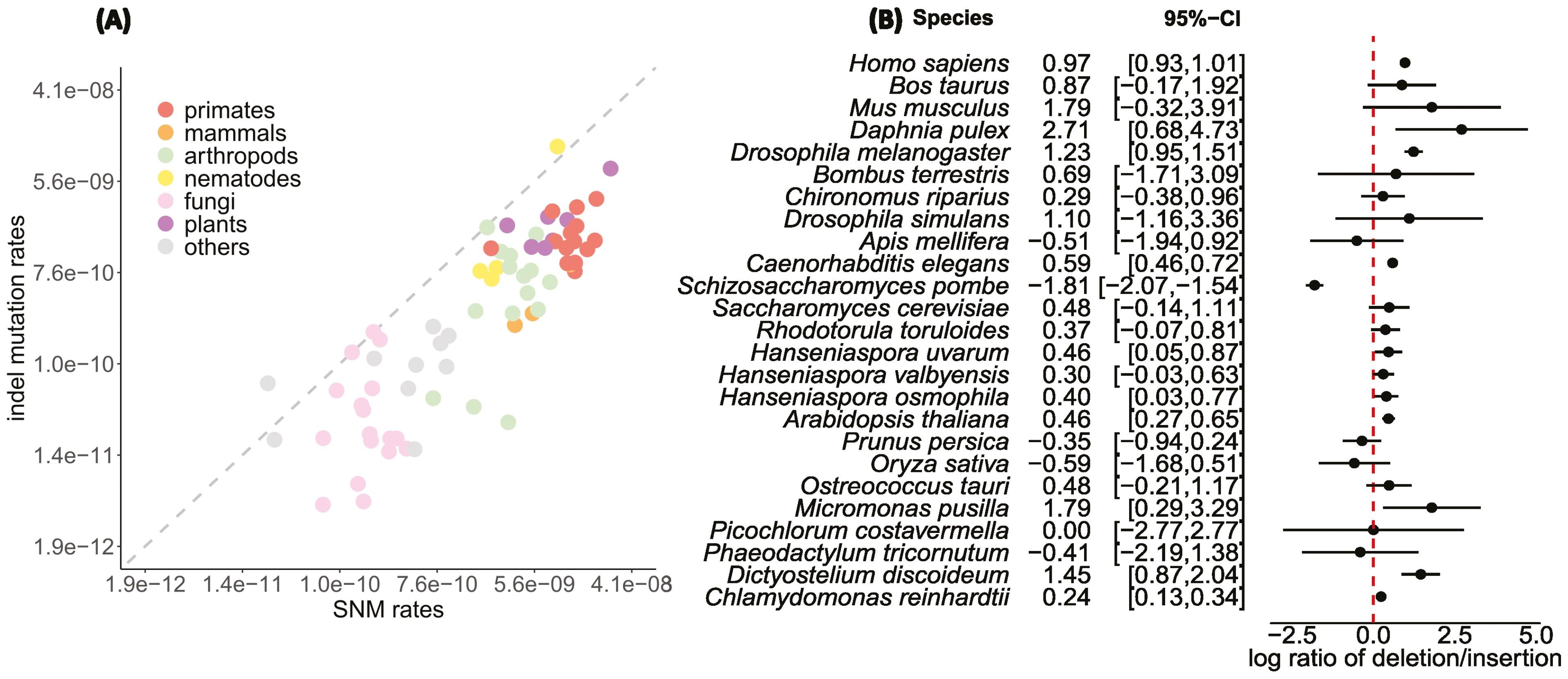 突变率之树 - 真核生物突变率综述 - 知乎