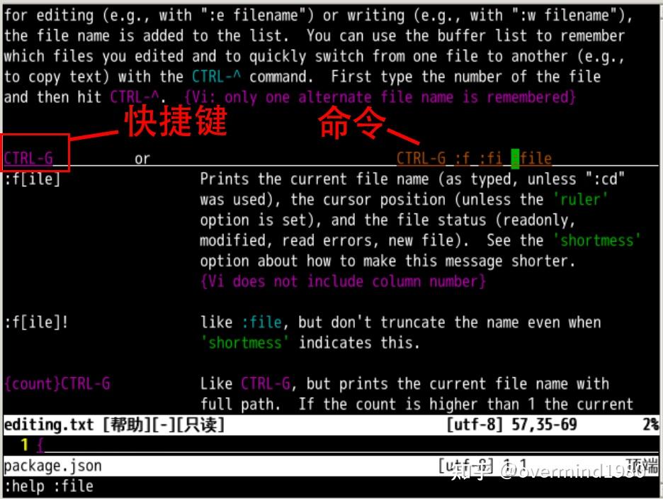 oeasy教您玩转vim - 3 - # 打开文件 - 知乎