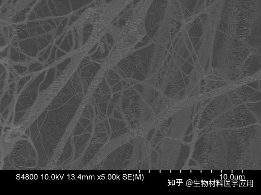 必看！最全SIS-dECM分享——搞懂脱细胞技术基础篇 - 知乎