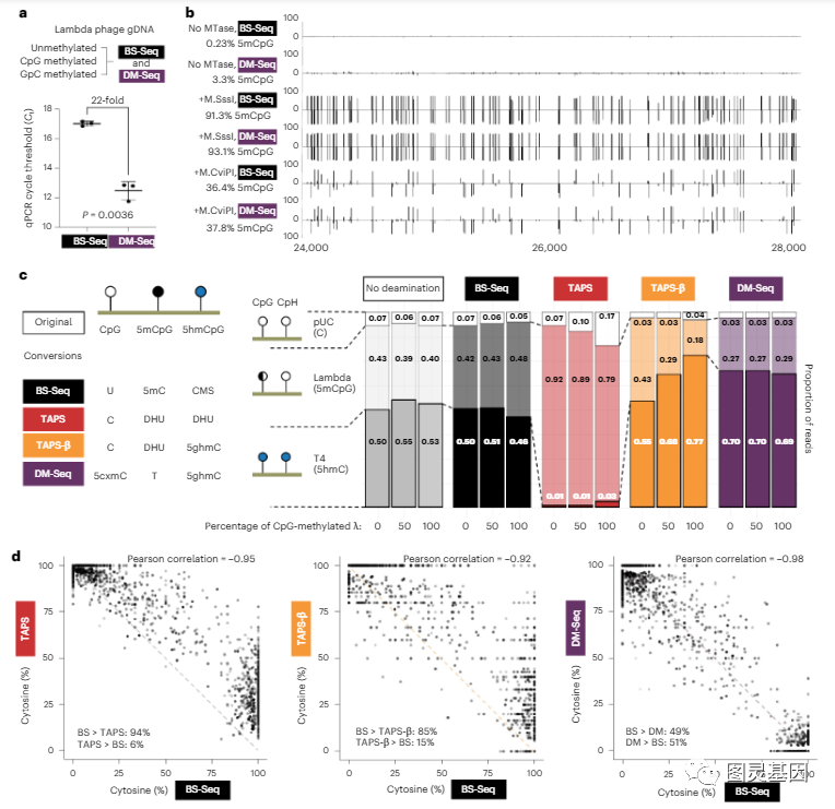 Nat Che Bio | 纳克级DNA 5mC甲基化单碱基测序 - 知乎